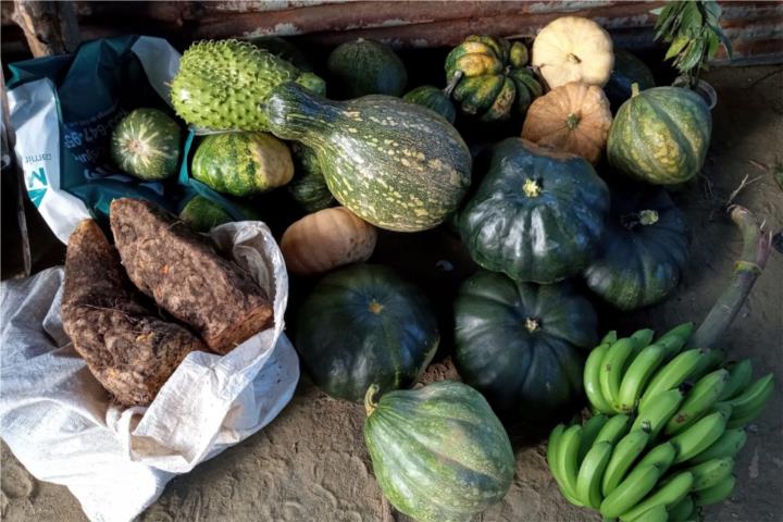 Tabonuco Puerto Rico, Venta Bienes Raíces Sabana Grande Puerto Rico ...