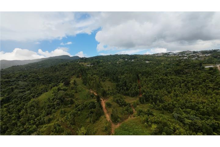 Pena Pobre Puerto Rico, Venta Bienes Raíces Naguabo Puerto Rico, Real ...
