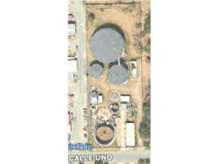 El Mani Puerto Rico, Venta Bienes Raíces Mayagüez Puerto Rico, Real ...