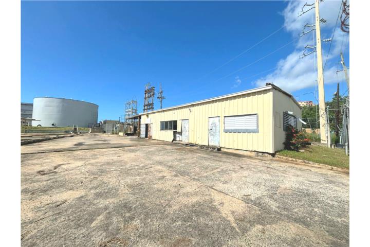 El Mani Puerto Rico, Venta Bienes Raíces Mayagüez Puerto Rico, Real ...