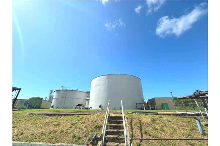 El Mani Puerto Rico, Venta Bienes Raíces Mayagüez Puerto Rico, Real ...