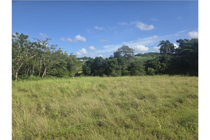 Miradero Puerto Rico, Venta Bienes Raíces Cabo Rojo Puerto Rico, Real ...