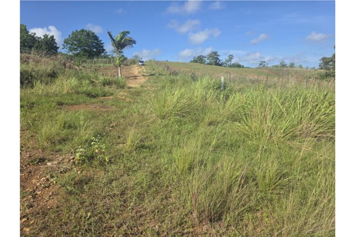 Miradero Puerto Rico, Venta Bienes Raíces Cabo Rojo Puerto Rico, Real ...