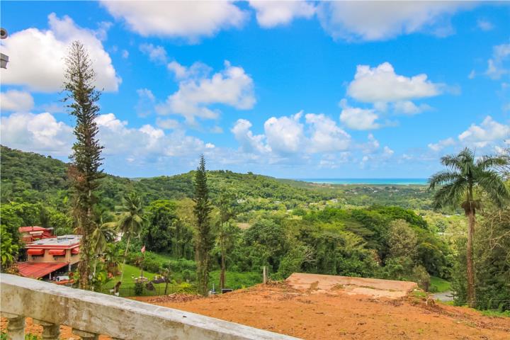 Colinas Del Yunque Puerto Rico, Venta Bienes Raíces Río Grande Puerto ...