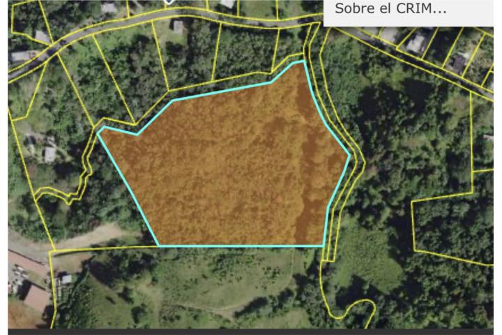 Caimito Bajo Puerto Rico, Venta Bienes Raíces San Juan - Río Piedras ...