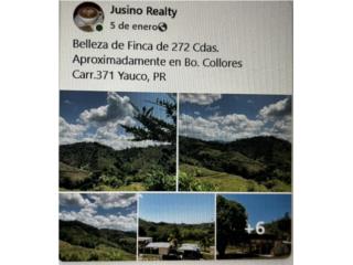 Collores Puerto Rico, Venta Bienes Raíces Yauco Puerto Rico, Real ...