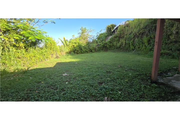 Pasto Viejo Puerto Rico, Venta Bienes Raíces Humacao Puerto Rico, Real ...