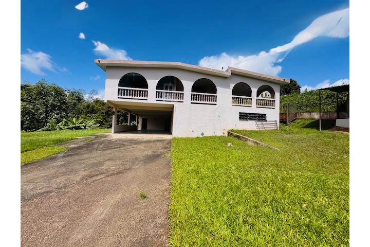 Barrio-Tejas, Las Piedras Puerto Rico