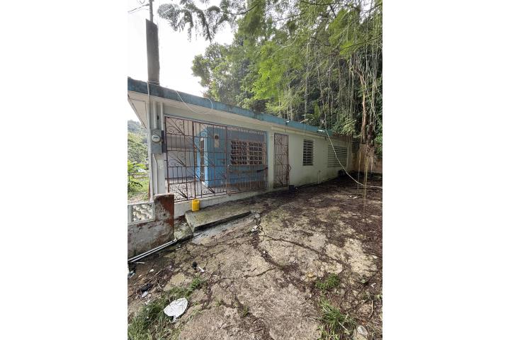 OPCIONADA Bo Espinosa Dorado - Venta Cash,