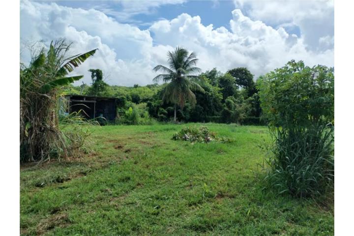 Coto Puerto Rico, Venta Bienes Raíces Isabela Puerto Rico, Real Estate ...