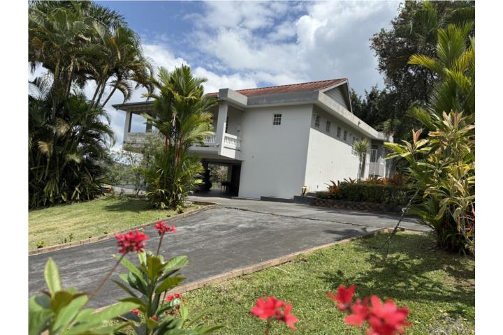 Morovis Sur Puerto Rico, Venta Bienes Raíces Morovis Puerto Rico, Real ...