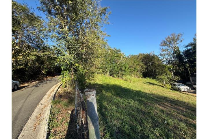 La Tosca Puerto Rico, Venta Bienes Raíces Bayamón Puerto Rico, Real ...