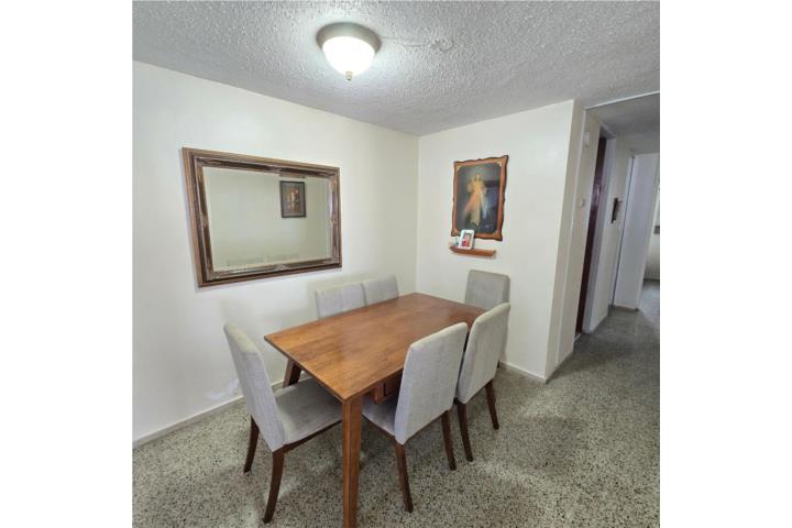 URB LEVITTOWN LAKES / TOA BAJA,