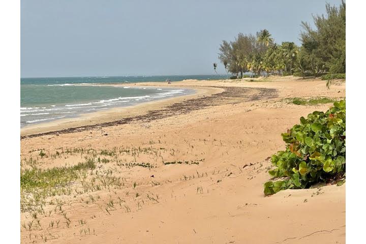Continental Beach Resort Puerto Rico, Venta Bienes Raíces Río Grande ...