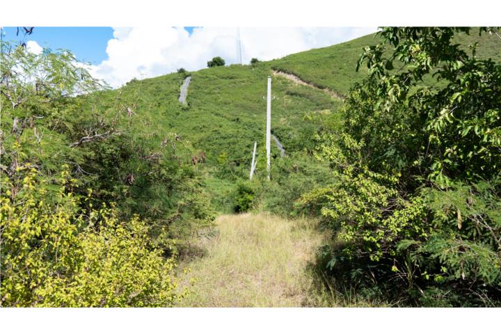 Jauca Puerto Rico, Venta Bienes Raíces Santa Isabel Puerto Rico, Real ...