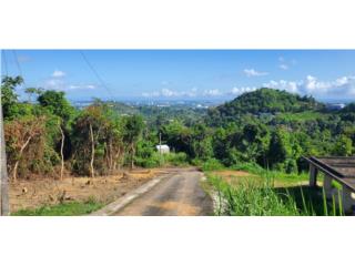 Caimito Alto Puerto Rico, Venta Bienes Raíces San Juan - Río Piedras ...
