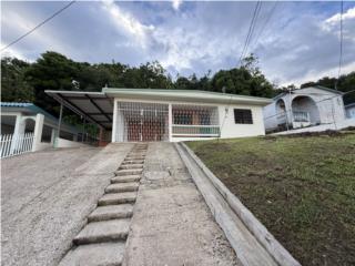 Robles Puerto Rico, Venta Bienes Raíces San Sebastián Puerto Rico, Real ...