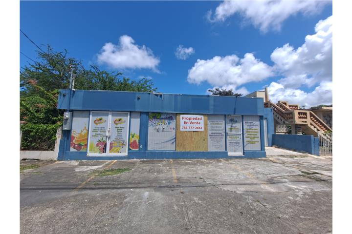 Machete Puerto Rico, Bienes Raices Machete Real Estate Guayama Puerto Rico