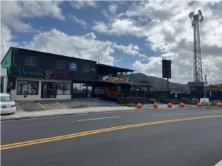 Bairoa Puerto Rico, Venta Bienes Raíces Caguas Puerto Rico, Real Estate ...