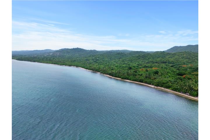 Puerto Real Puerto Rico, Venta Bienes Raíces Vieques Puerto Rico, Real ...