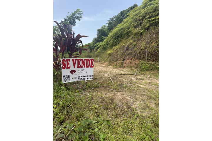 SOLD, Vendido Tejas Puerto Rico, Venta Bienes Raíces Yabucoa Puerto ...