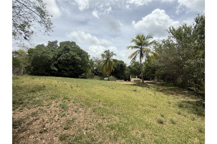 Paris Puerto Rico, Venta Bienes Raíces Lajas Puerto Rico, Real Estate ...