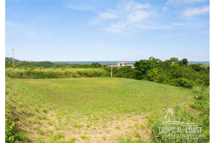 Calvache Puerto Rico, Venta Bienes Raíces Rincón Puerto Rico, Real ...