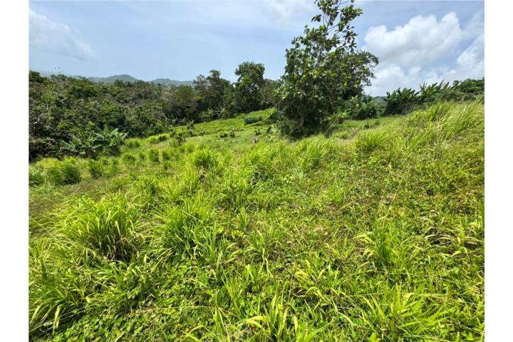 Tejas Puerto Rico, Venta Bienes Raíces Humacao Puerto Rico, Real Estate ...