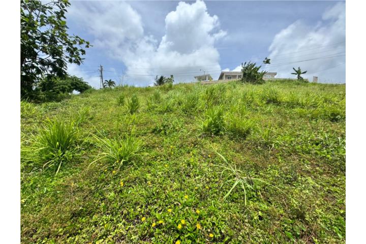 Tejas Puerto Rico, Venta Bienes Raíces Humacao Puerto Rico, Real Estate ...