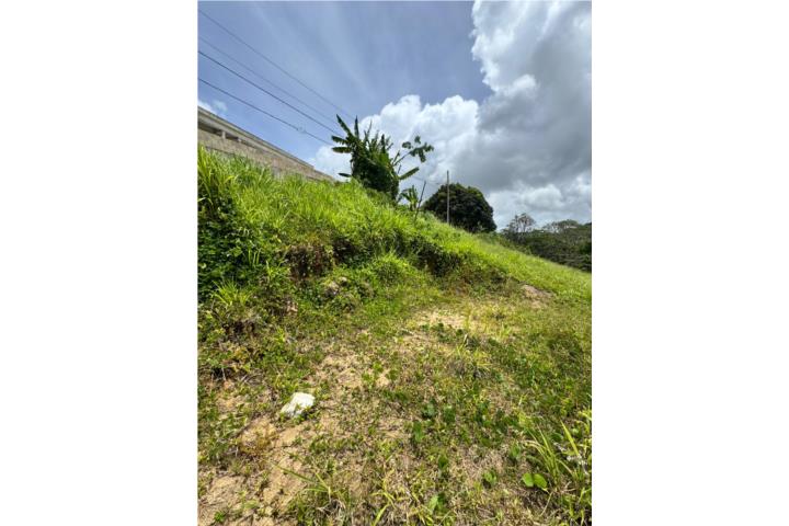 Tejas Puerto Rico, Venta Bienes Raíces Humacao Puerto Rico, Real Estate ...