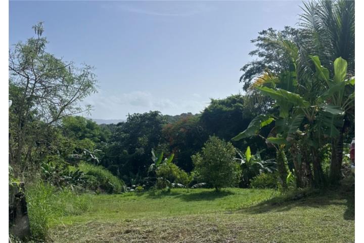 Miradero Puerto Rico, Venta Bienes Raíces Mayagüez Puerto Rico, Real ...