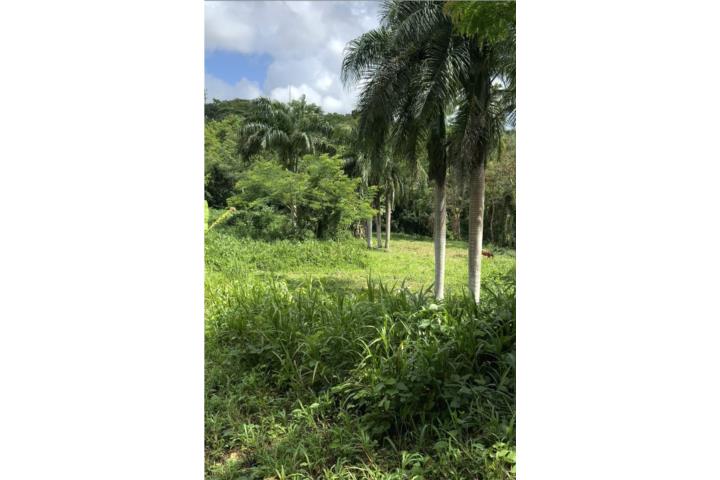 Caimito Alto Puerto Rico, Venta Bienes Raíces San Juan - Río Piedras ...