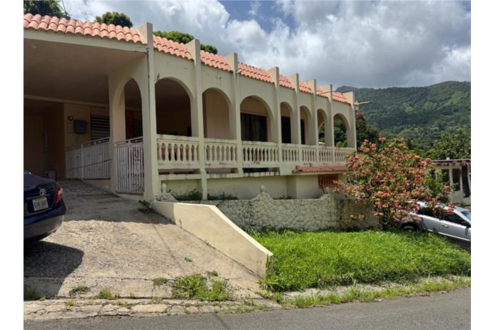 El Rio Puerto Rico, Venta Bienes Raíces Las Piedras Puerto Rico, Real ...