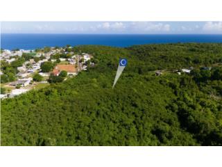 Coto Puerto Rico, Venta Bienes Raíces Isabela Puerto Rico, Real Estate ...