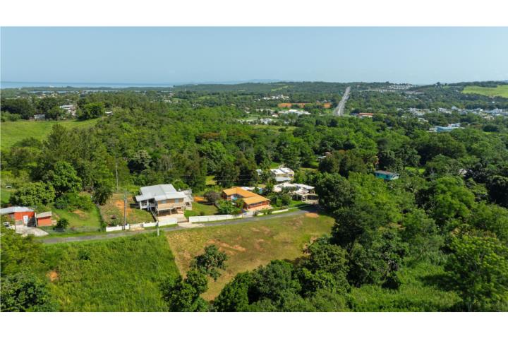 Miradero Puerto Rico, Venta Bienes Raíces Cabo Rojo Puerto Rico, Real ...