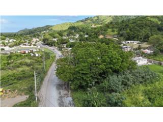 Pinales Puerto Rico, Venta Bienes Raíces Añasco Puerto Rico, Real ...