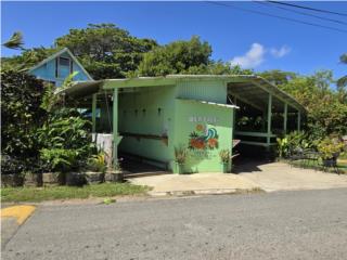 Shacks Puerto Rico, Venta Bienes Raíces Isabela Puerto Rico, Real ...