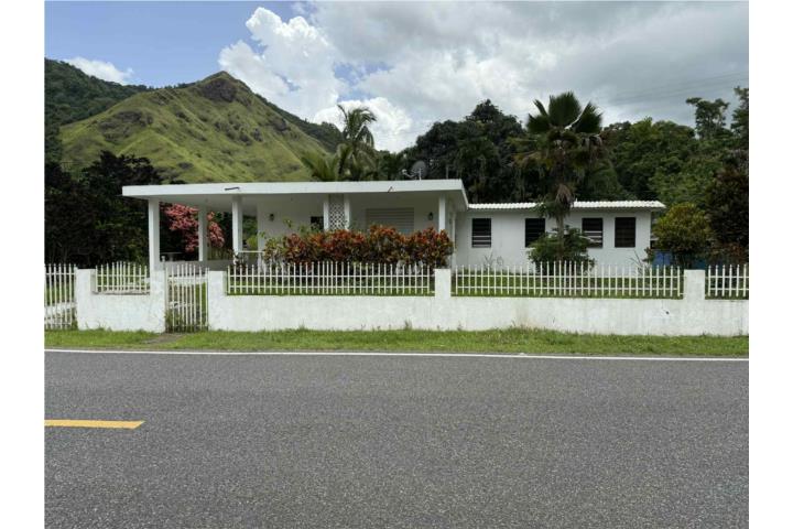Jauca Puerto Rico, Venta Bienes Raíces Jayuya Puerto Rico, Real Estate ...