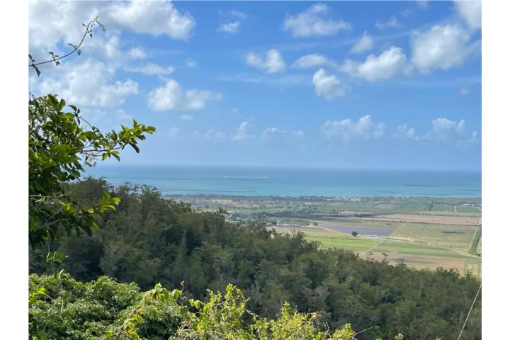 Jauca Puerto Rico, Venta Bienes Raíces Santa Isabel Puerto Rico, Real ...