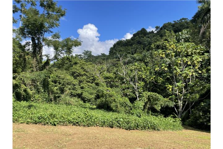 Quebrada Arena Puerto Rico, Venta Bienes Raíces San Juan - Río Piedras ...