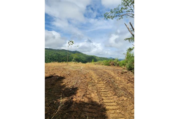 Saltillo Puerto Rico, Venta Bienes Raíces Adjuntas Puerto Rico, Real ...