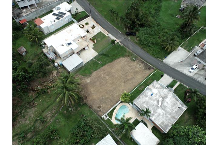 Fincas Bonitas Puerto Rico, Venta Bienes Raíces Juncos Puerto Rico ...