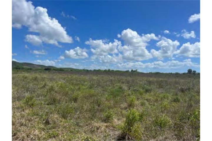 Citrona Puerto Rico, Venta Bienes Raíces Juana Díaz Puerto Rico, Real ...