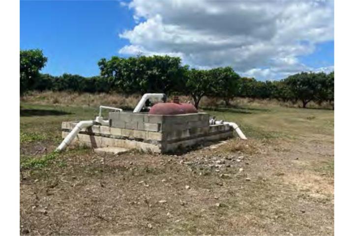 Citrona Puerto Rico, Venta Bienes Raíces Juana Díaz Puerto Rico, Real ...