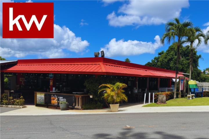 Padilla Puerto Rico, Venta Bienes Raíces Corozal Puerto Rico, Real ...