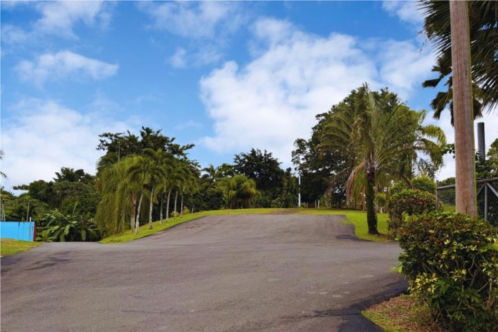 Padilla Puerto Rico, Venta Bienes Raíces Corozal Puerto Rico, Real ...