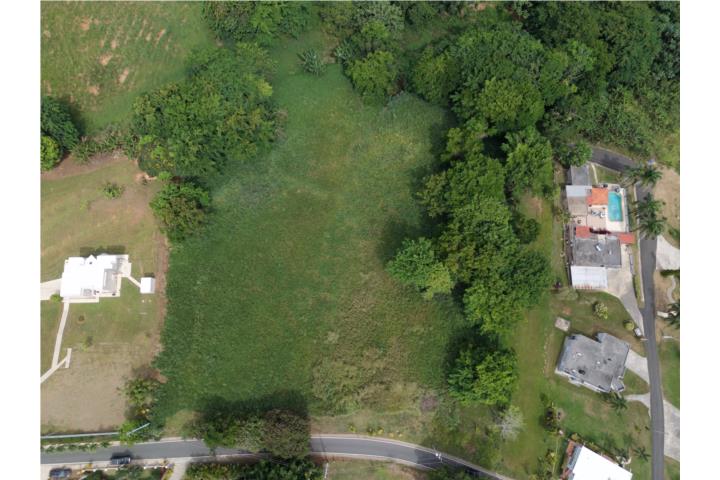 Padilla Puerto Rico, Venta Bienes Raíces Corozal Puerto Rico, Real ...