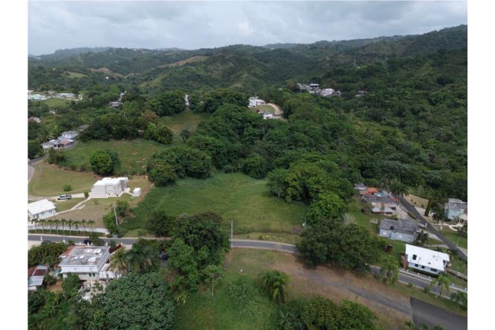 Padilla Puerto Rico, Venta Bienes Raíces Corozal Puerto Rico, Real ...