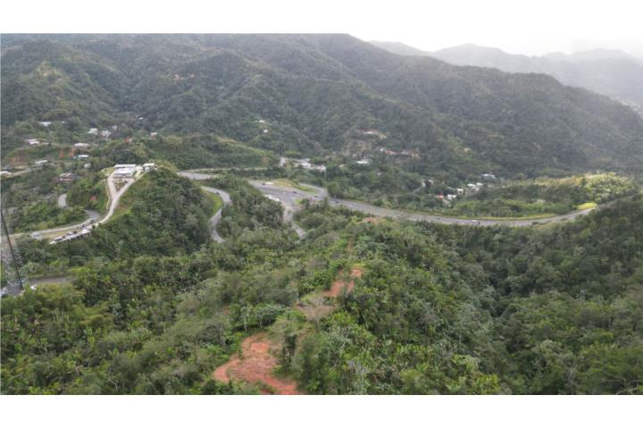 Saltillo Puerto Rico, Venta Bienes Raíces Adjuntas Puerto Rico, Real ...