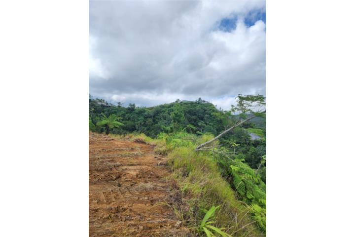 Saltillo Puerto Rico, Venta Bienes Raíces Adjuntas Puerto Rico, Real ...